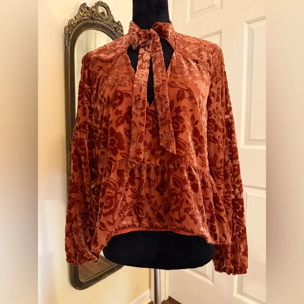Anthropologie | Tops | Anthropologie Rust Red Velvet Tie Front Blouse ...
